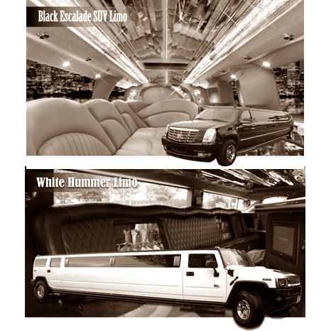 AAA Limo in Chicago | AAA Party Bus Fleet |Luxury Charter Coach Bus